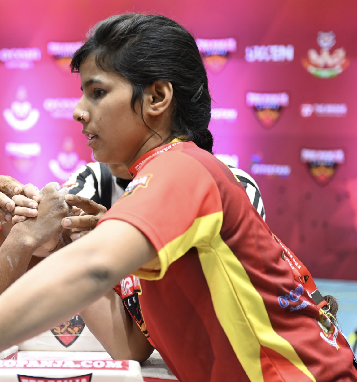 Ranking - Pro Panja League 2024